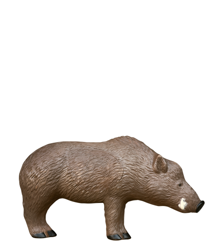 Signature Boar Rinehart3D